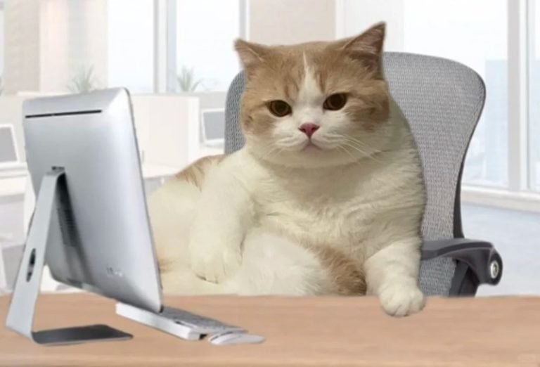 Bộ sưu tập 60+ meme đi làm khiến dân văn phòng cười xỉu – Mẫu bánh kem